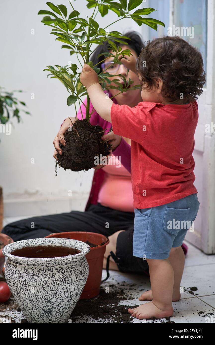 Vertical shot of a baby boy holding a Schefflera plant while mom is ...
