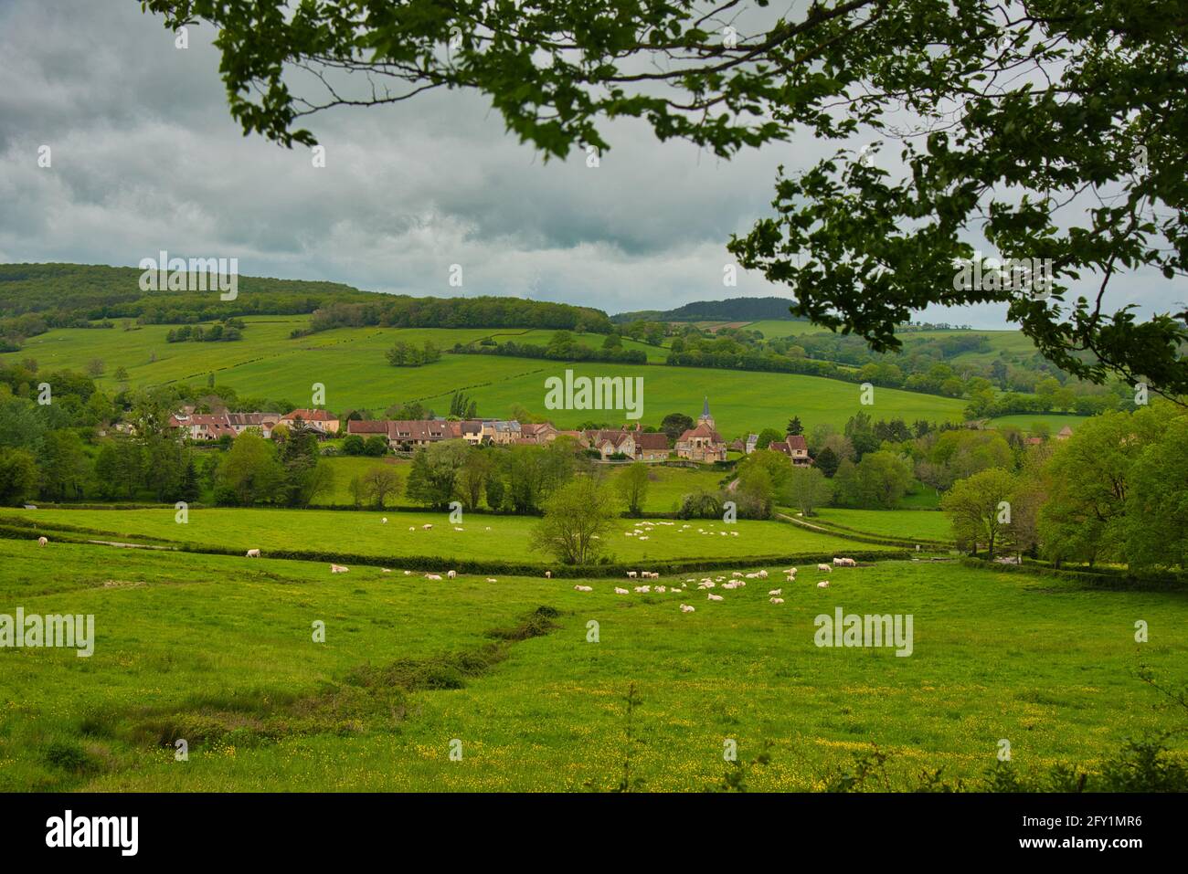 Beautiful landscape in the Morvan area in Burgundy in France Stock ...