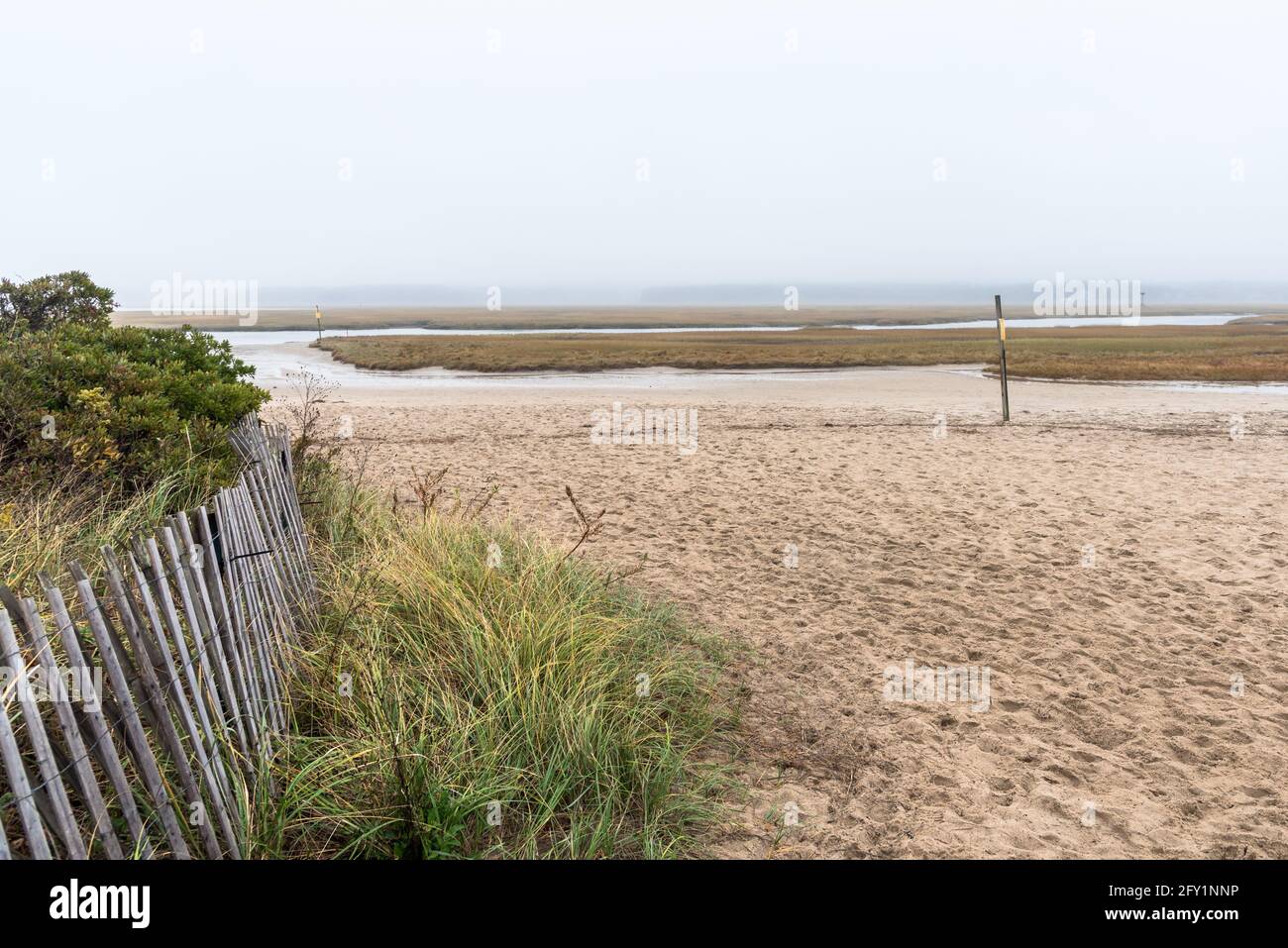 Marsh grass cape cod hi-res stock photography and images - Alamy