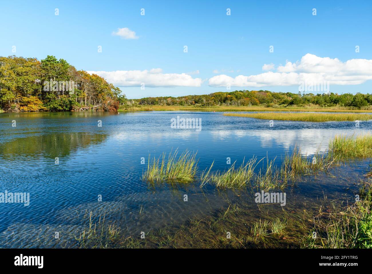 Marsh grass cape cod hi-res stock photography and images - Alamy