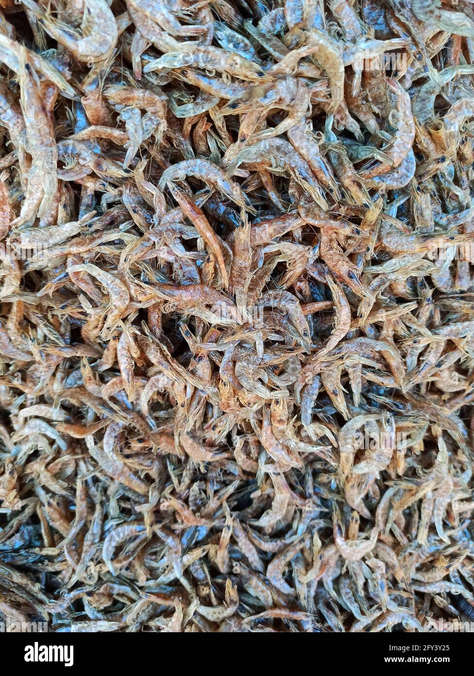 Dried Flatfish High Resolution Stock Photography and Images - Alamy