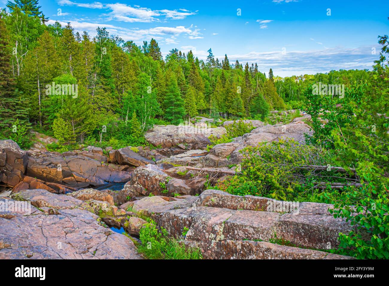 Landscape Scene Of Thunder Bay Ontario Conservation Area in summer ...