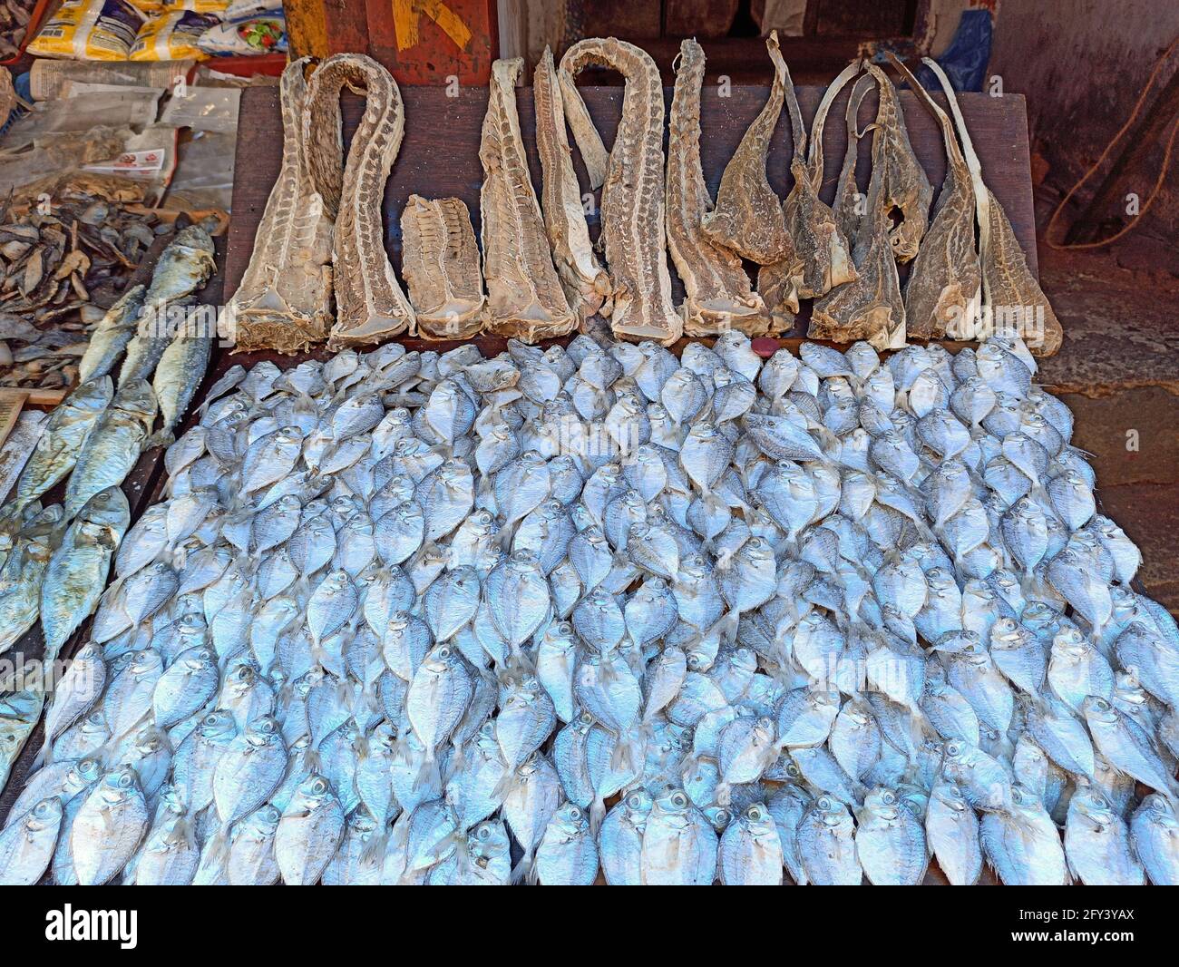Dried Fish, varieties of dried fish in market arranged in baskets ...