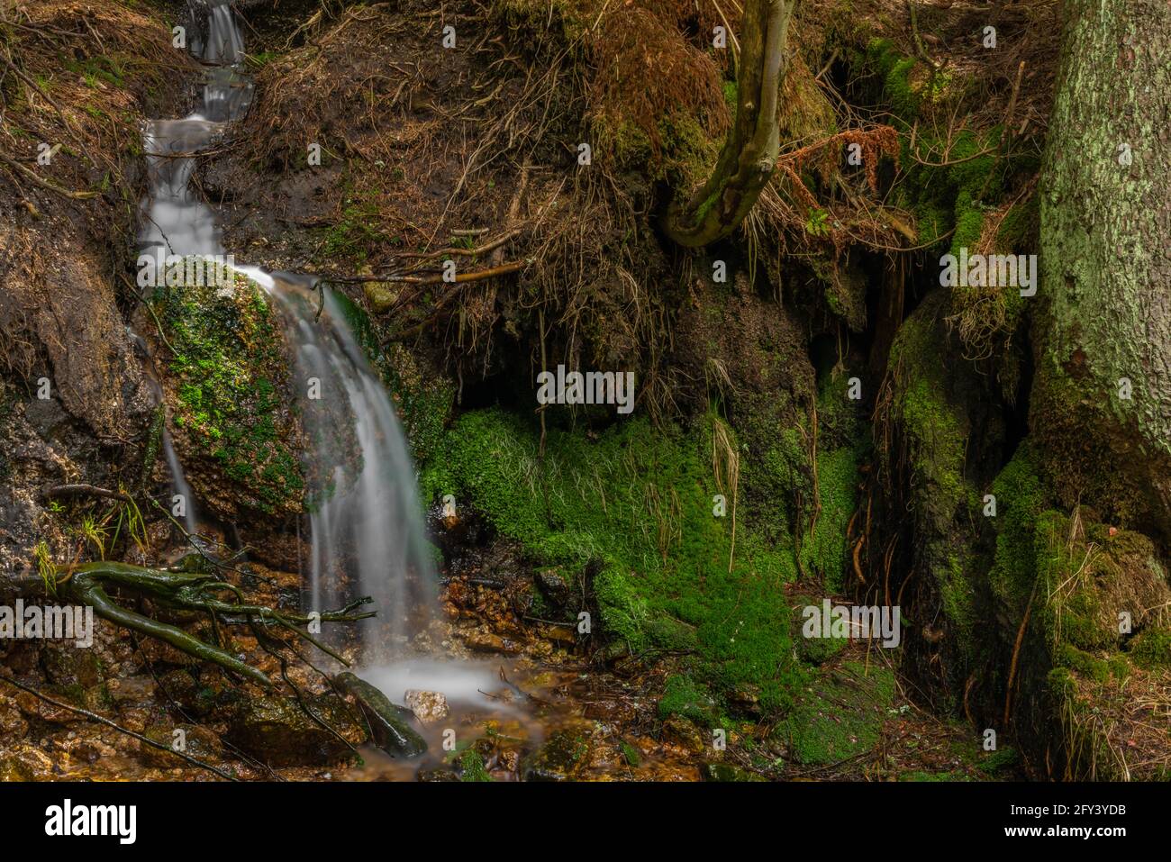 Small waterfall near Lisci valley in spring color fresh wet day Stock ...