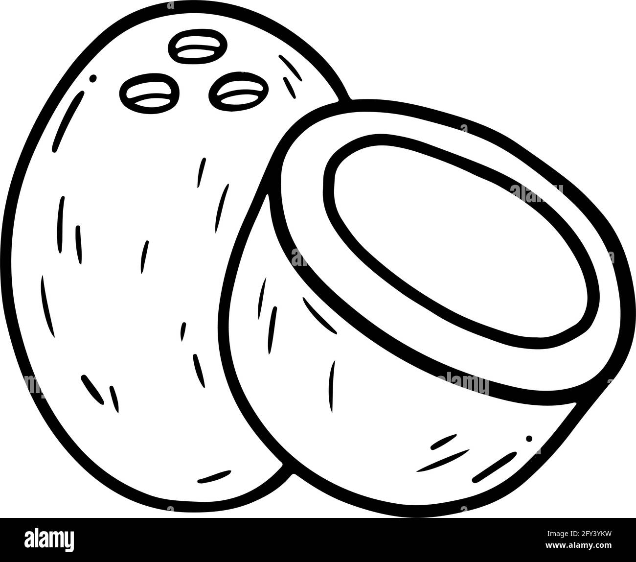 hand drawn sketch coconut in doodle style Stock Vector Image & Art - Alamy