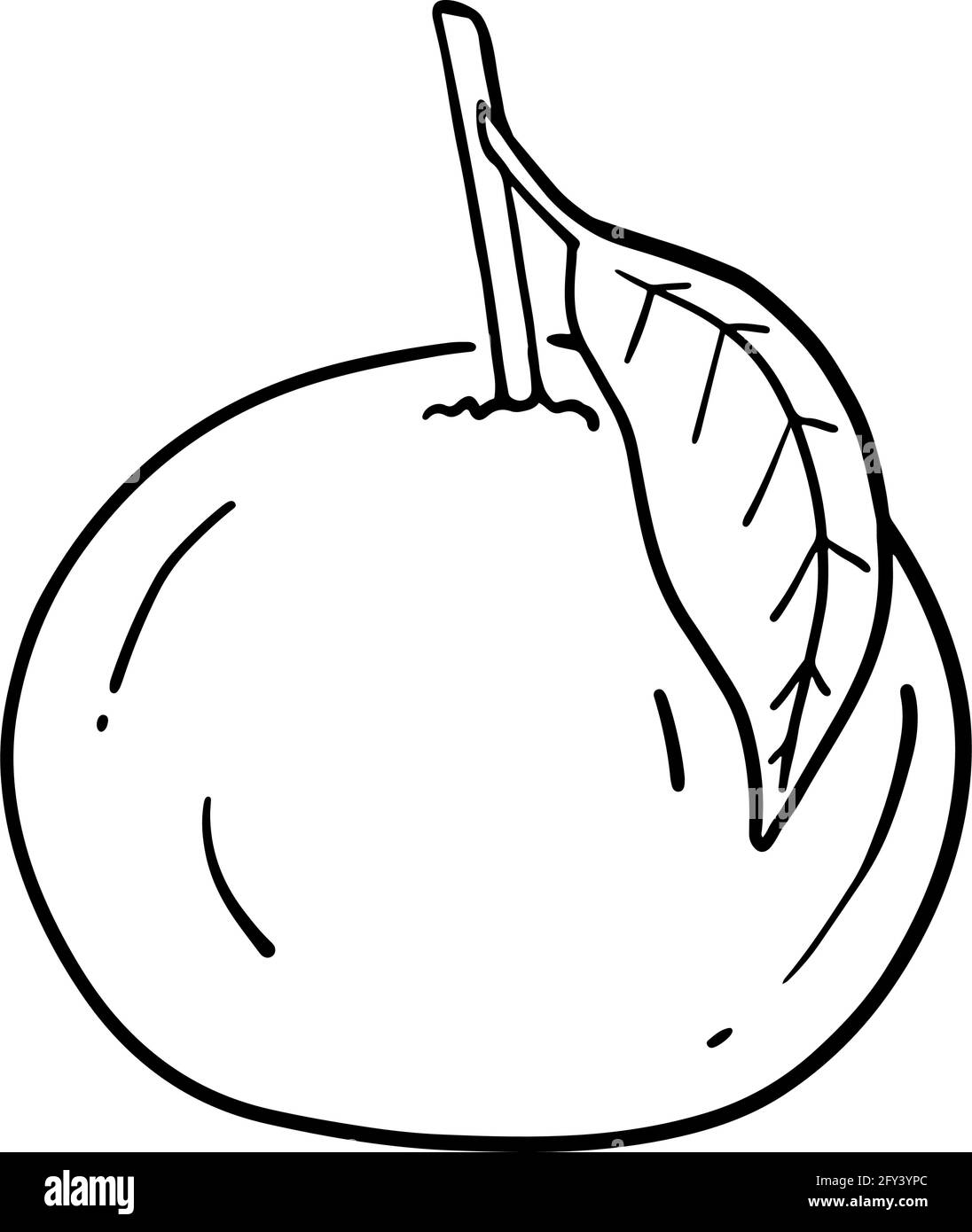 Hand orange fruit on Black and White Stock Photos & Images - Alamy