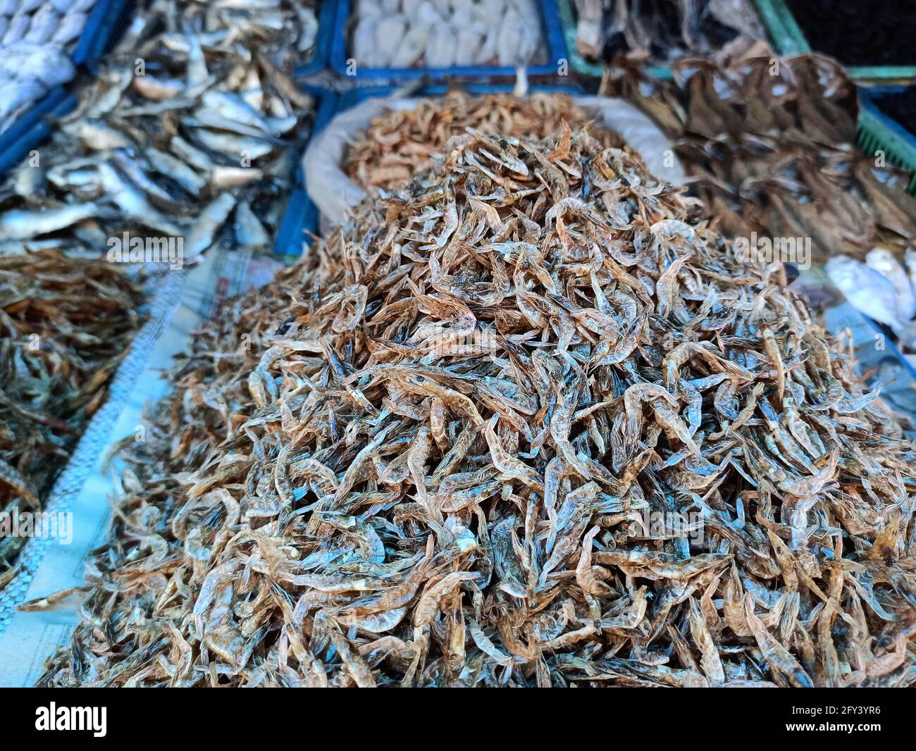 Dry Fish,dried shrimp or dry kardi fish or dried prawns arranged in the ...