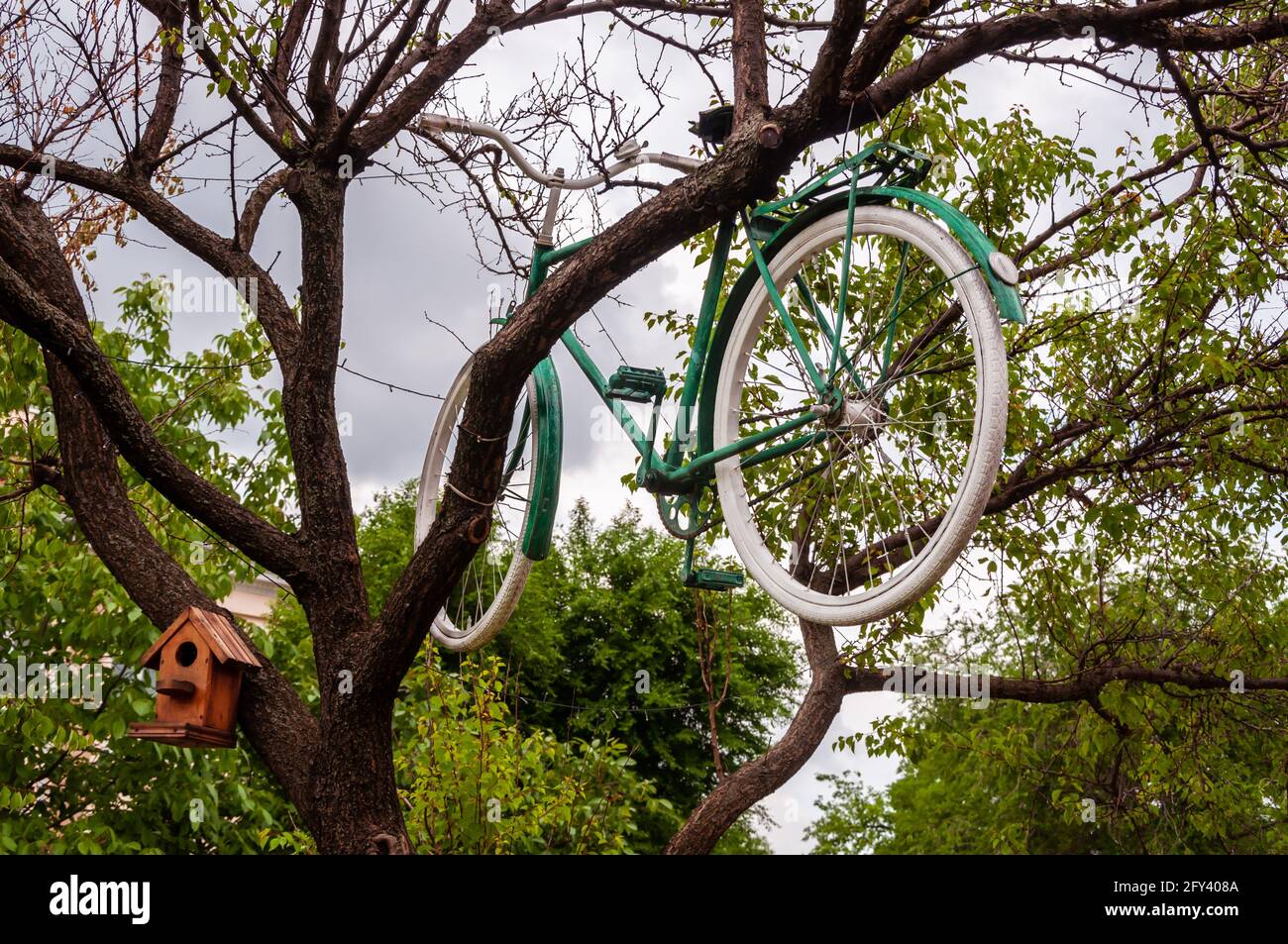 Bicycle hanging on the tree. Ecological transport. Bicycle repair shop ...
