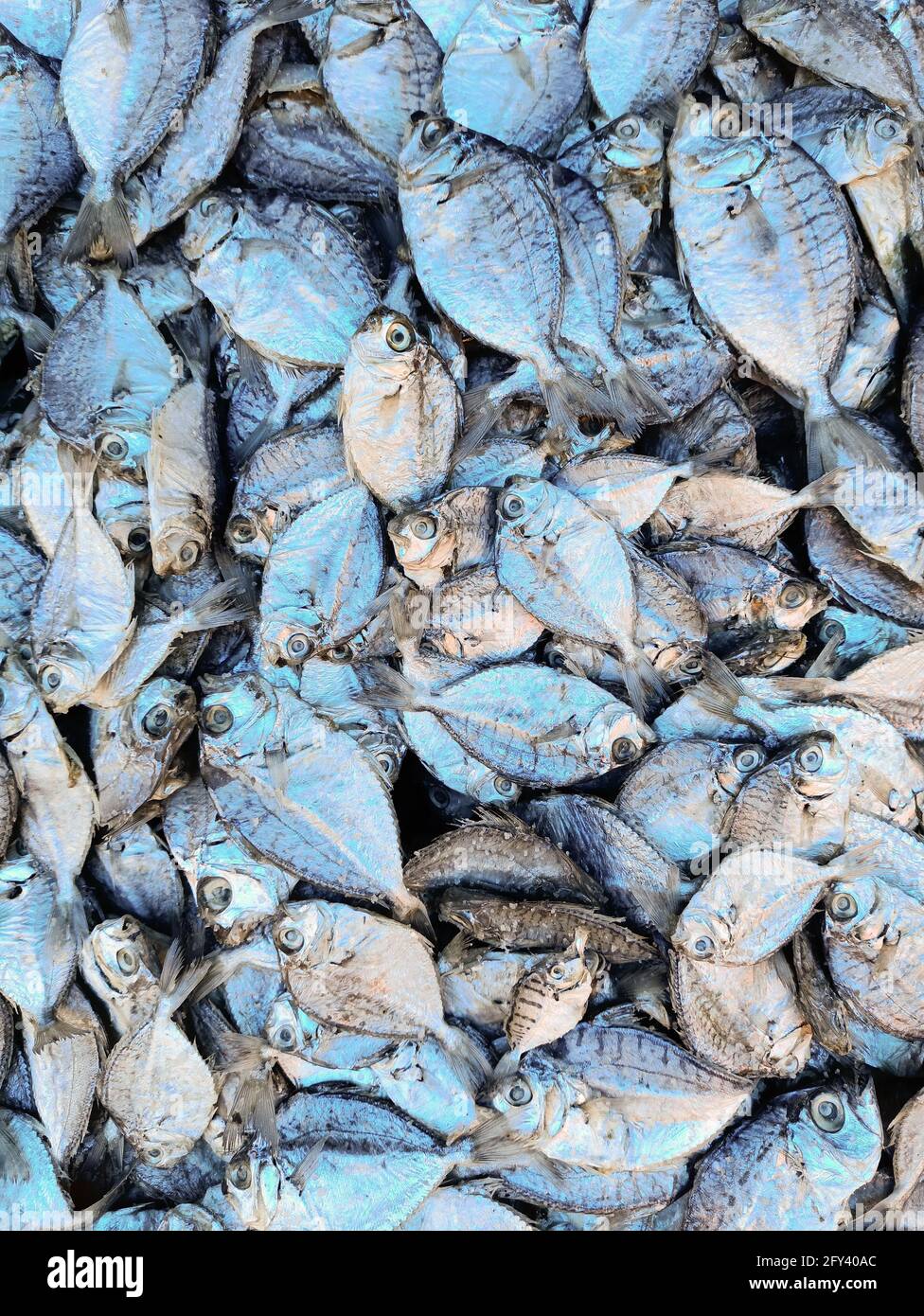 Dried Fish, varieties of dried fish in market arranged in baskets ...