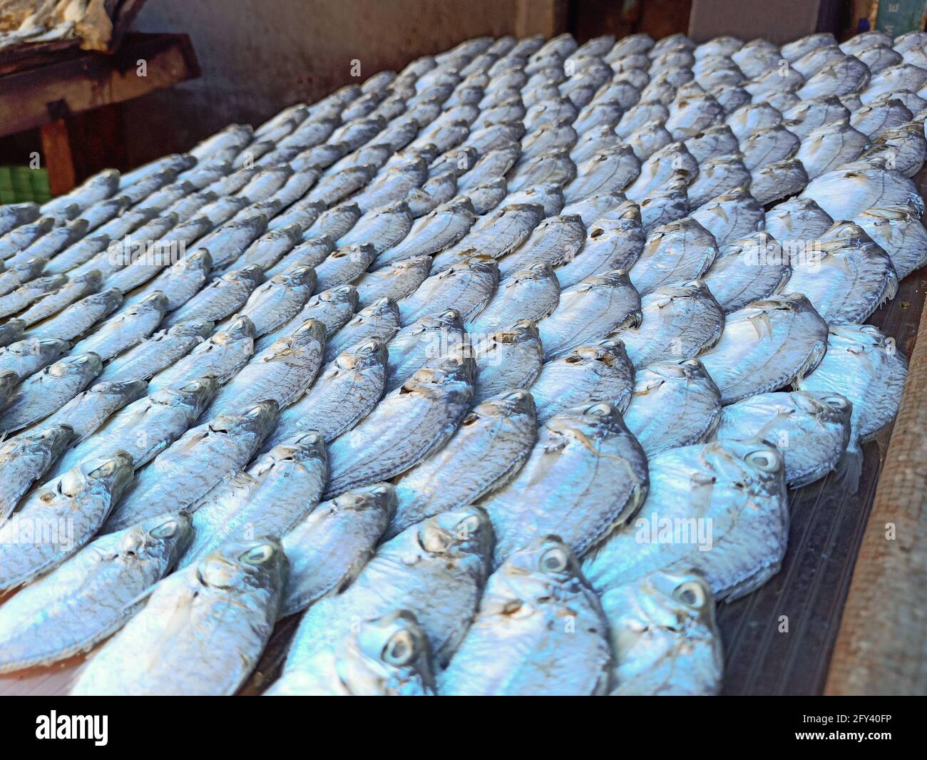 Spreader dried fishes hi-res stock photography and images - Alamy