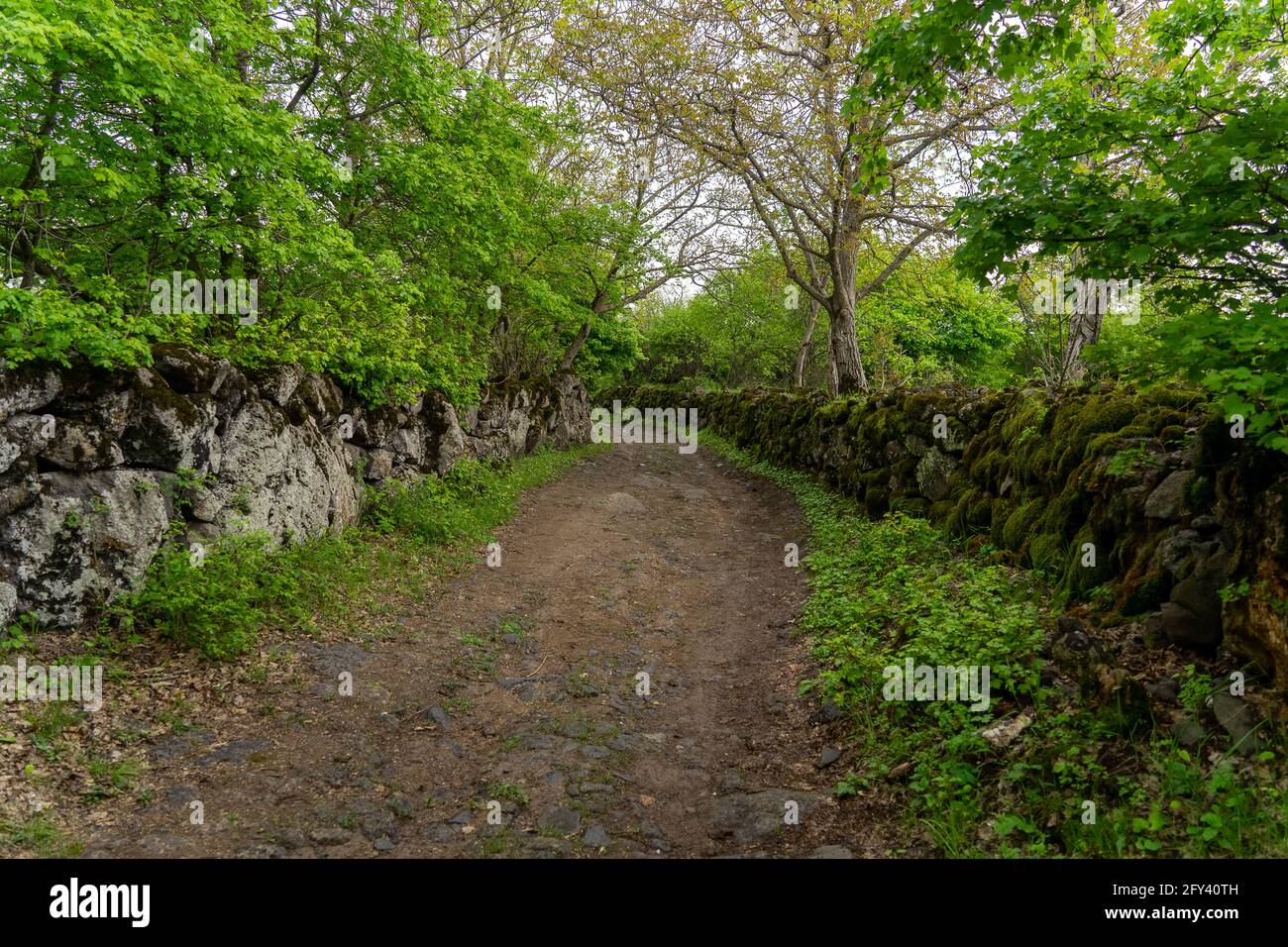 Cultural heritage of Georgia - ruins of an ancient city street road ...