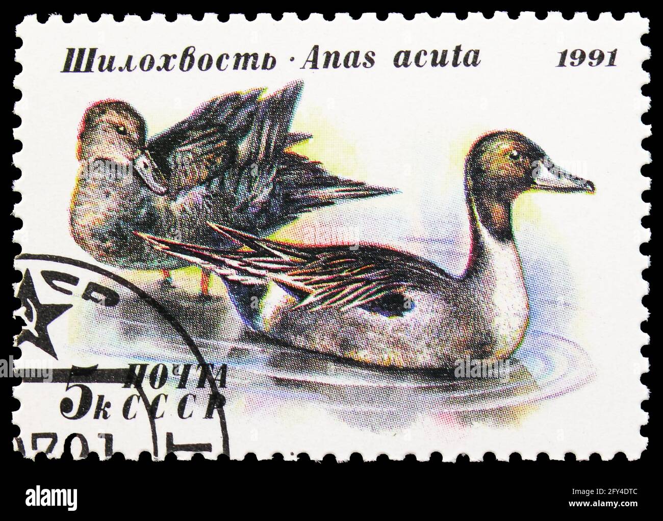 MOSCOW, RUSSIA - AUGUST 31, 2019: Postage stamp printed in Soviet Union ...