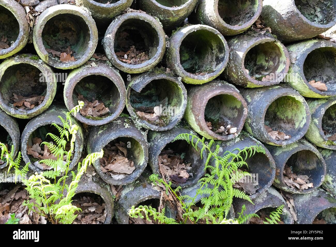 Moss covered pot hi-res stock photography and images - Alamy