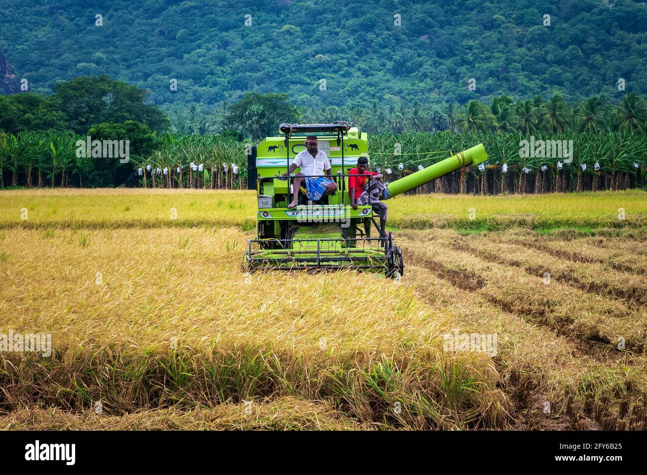 Modern tractor with former harvesting rice plant with nature mountain ...