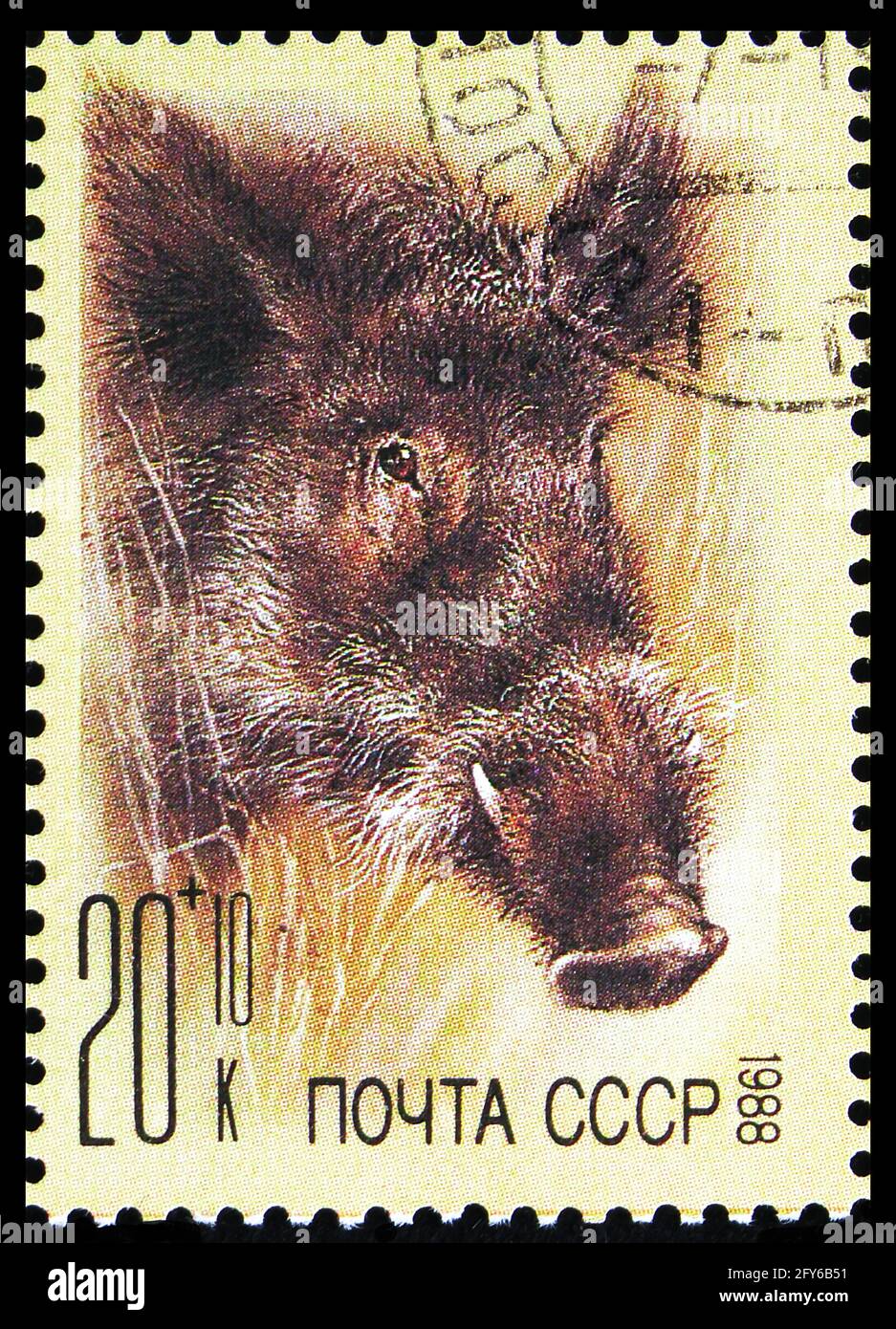 Sus letter hi-res stock photography and images - Alamy