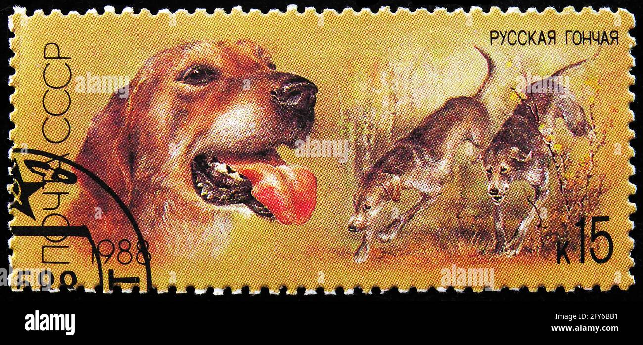 MOSCOW, RUSSIA - AUGUST 31, 2019: Postage stamp printed in Soviet Union ...