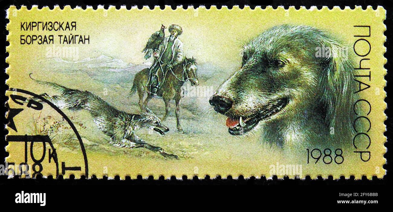 MOSCOW, RUSSIA - AUGUST 31, 2019: Postage stamp printed in Soviet Union ...