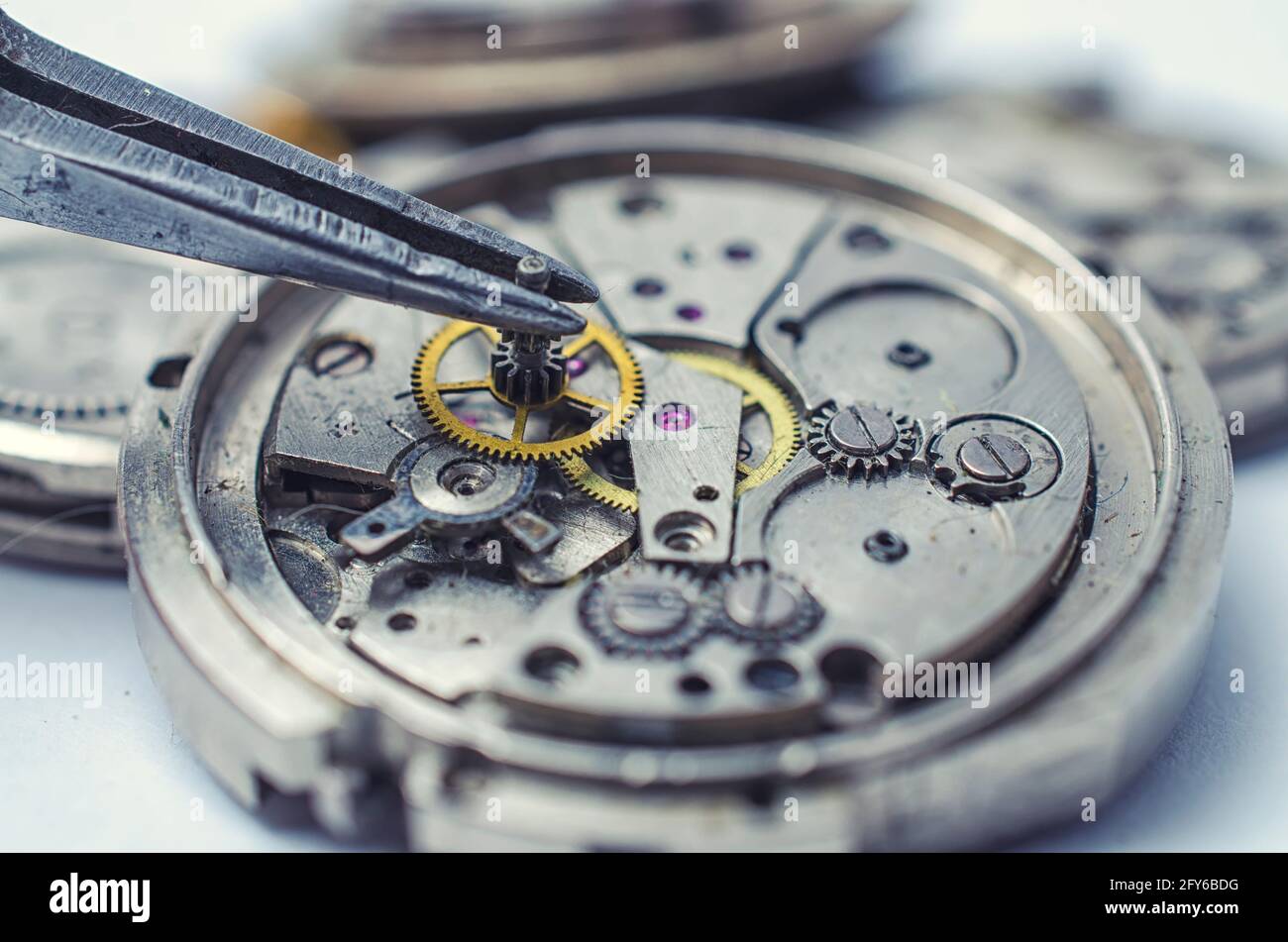 tweezers and disassembled mechanical watches Stock Photo - Alamy