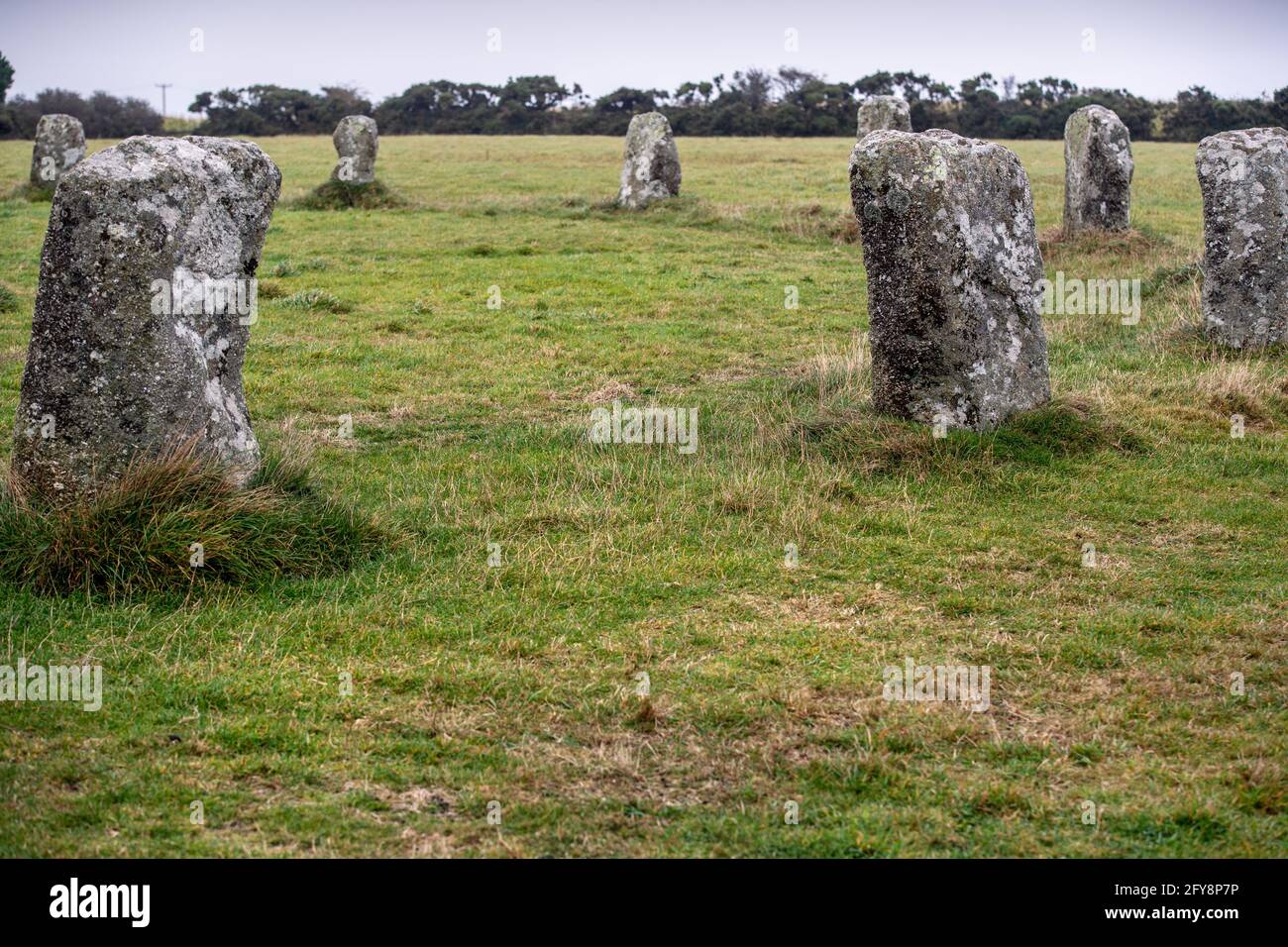 Some of the standing stones that make up the late Neolithic stone ...
