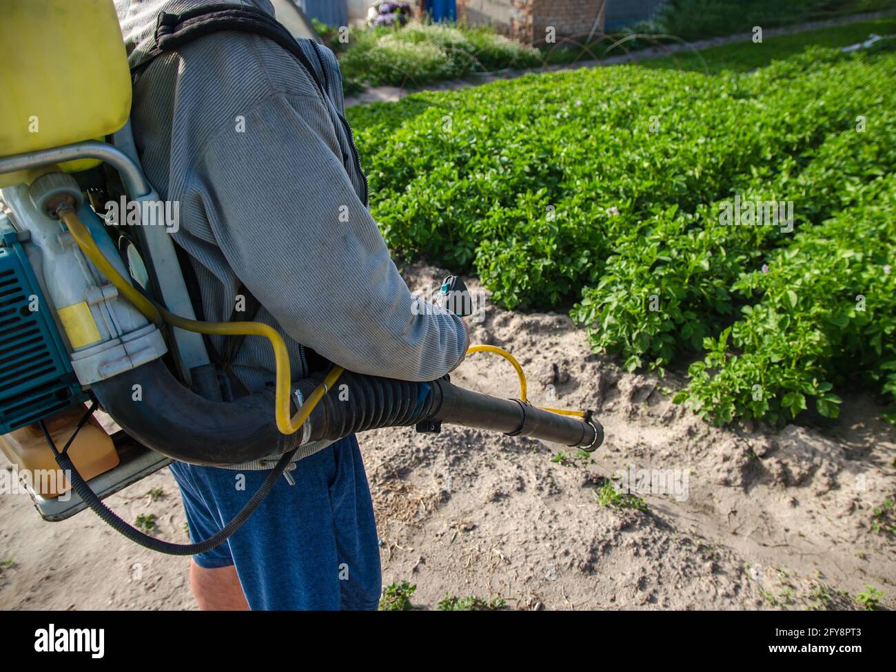 Farmer with a spray machine on potato plantation background. Fungicide ...