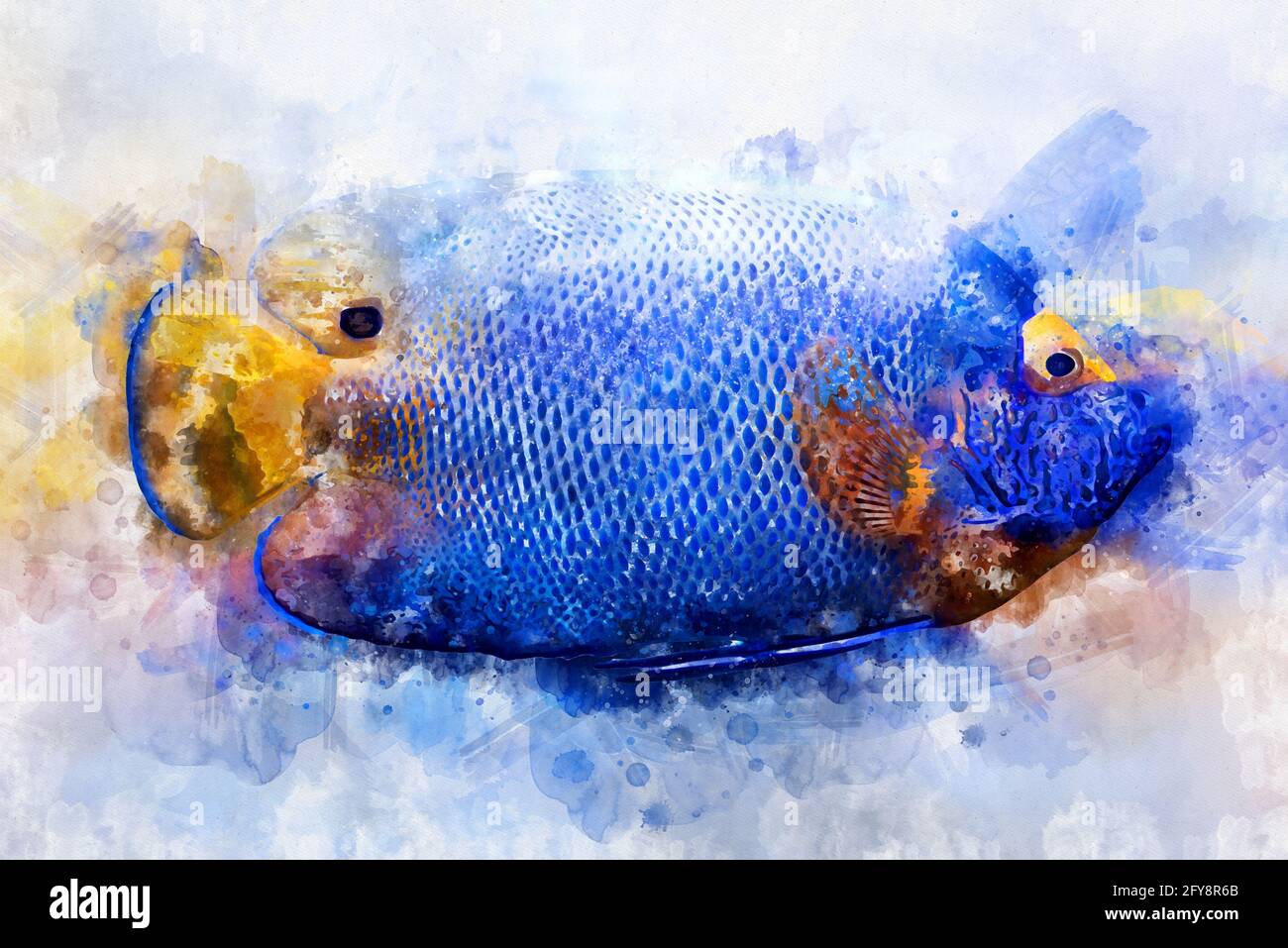 Watercolor illustration of tropic fish blueface angelfish (Pomacanthus ...