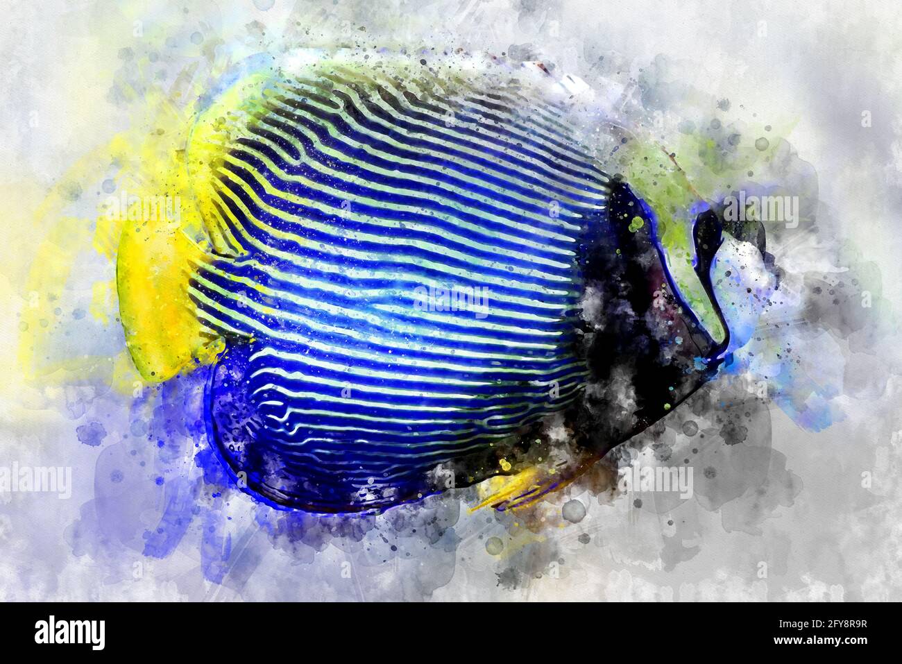 Watercolor illustration of tropic emperor angelfish (Pomacanthus ...