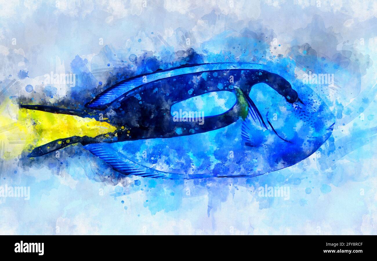 Watercolor illustration of tropic palette surgeonfish (Paracanthurus ...