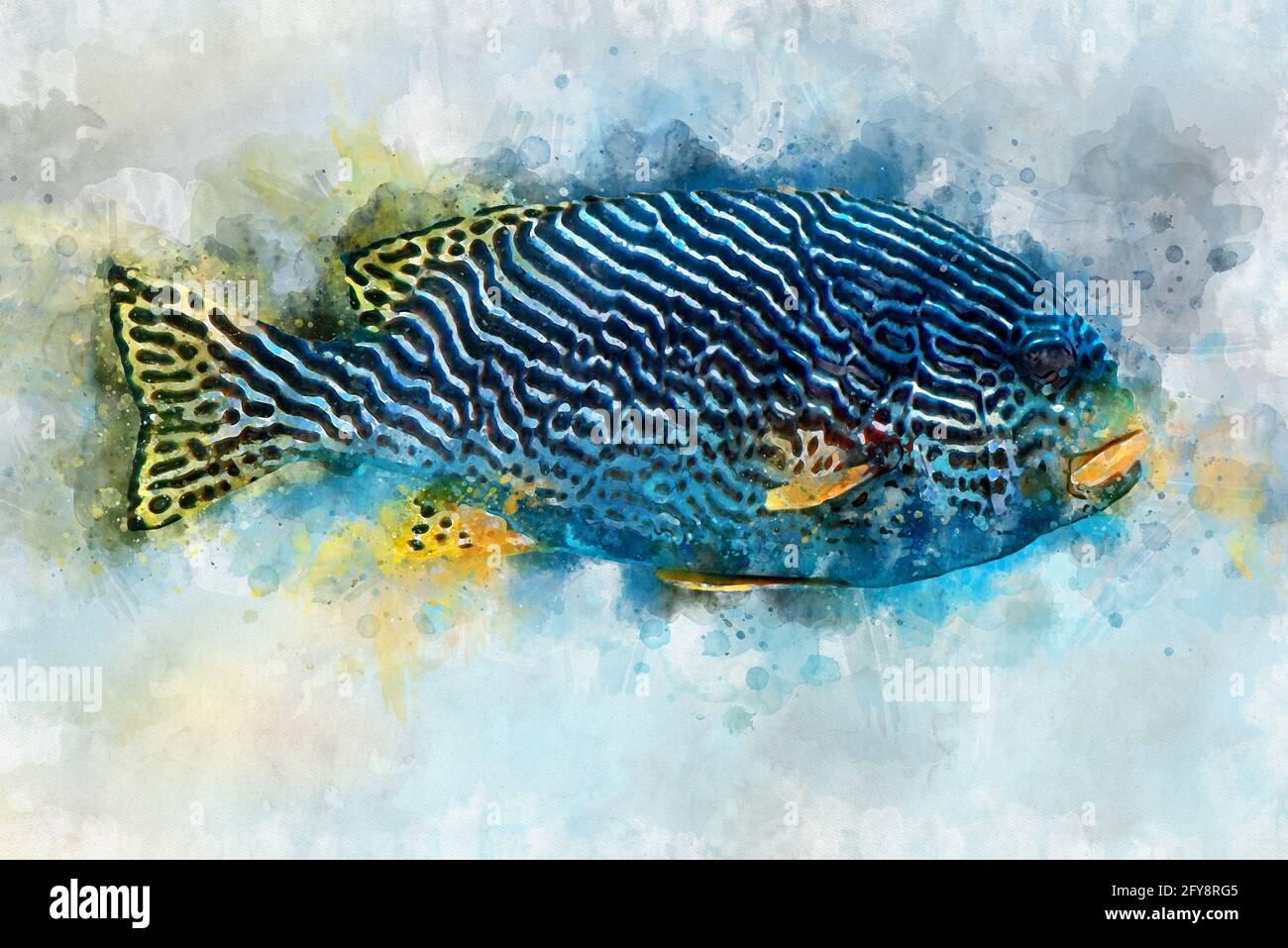 Watercolor illustration of tropic blue green reef fish Stock Photo - Alamy