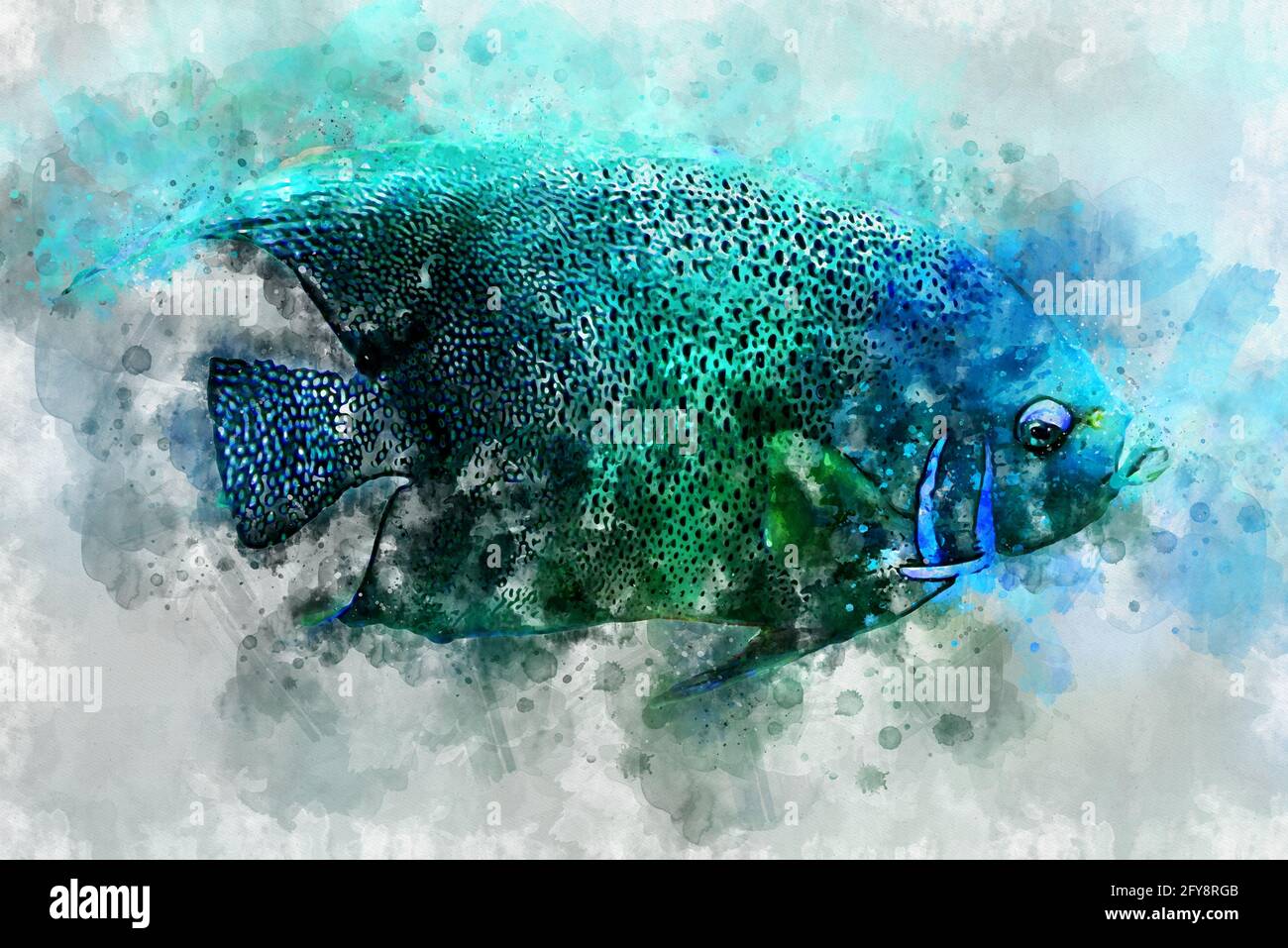 Watercolor illustration of tropic blue green reef fish Stock Photo - Alamy