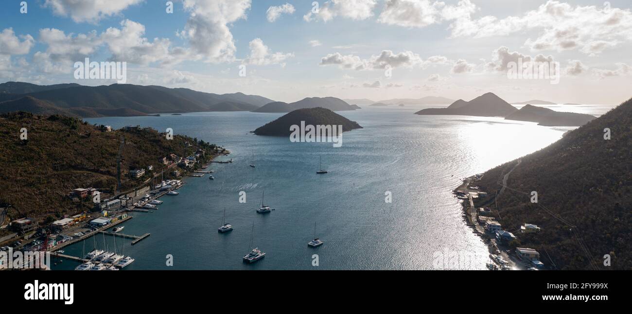 Bvi plants hi-res stock photography and images - Alamy