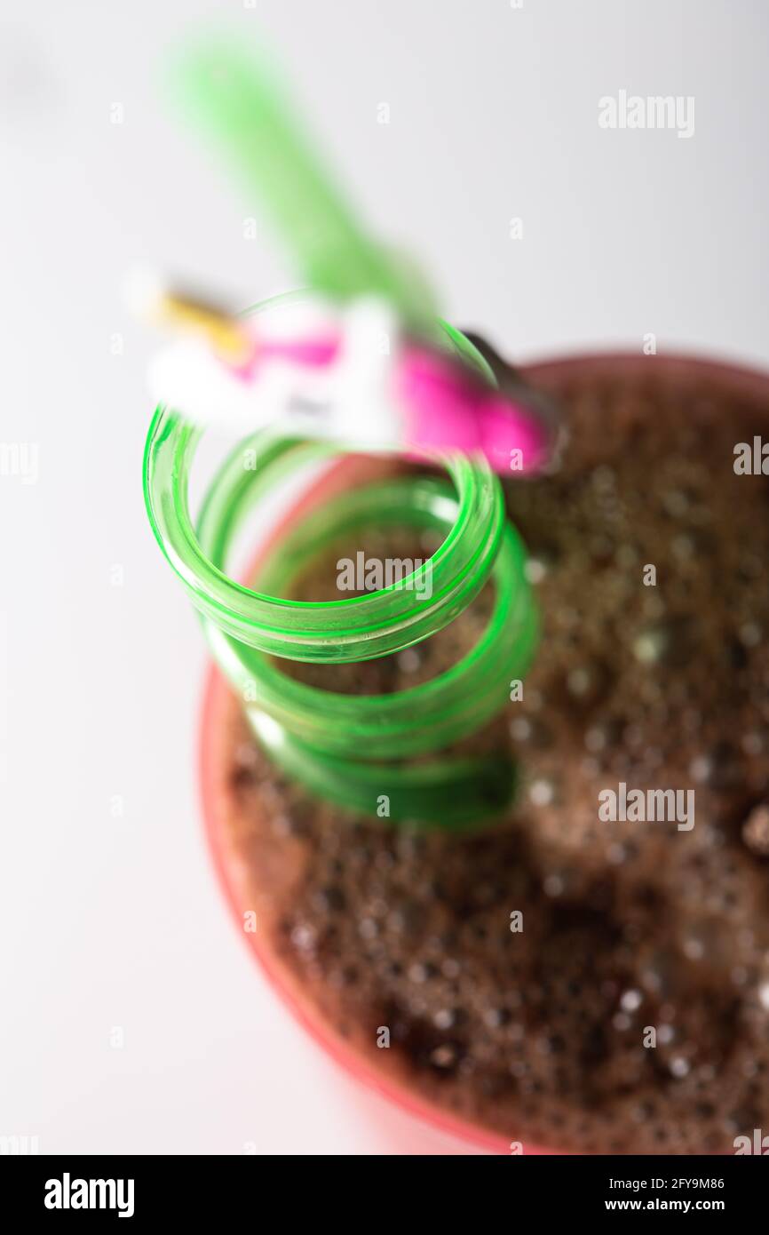 Decoration unicorn green drinking cane on a chocolate drink Stock Photo ...