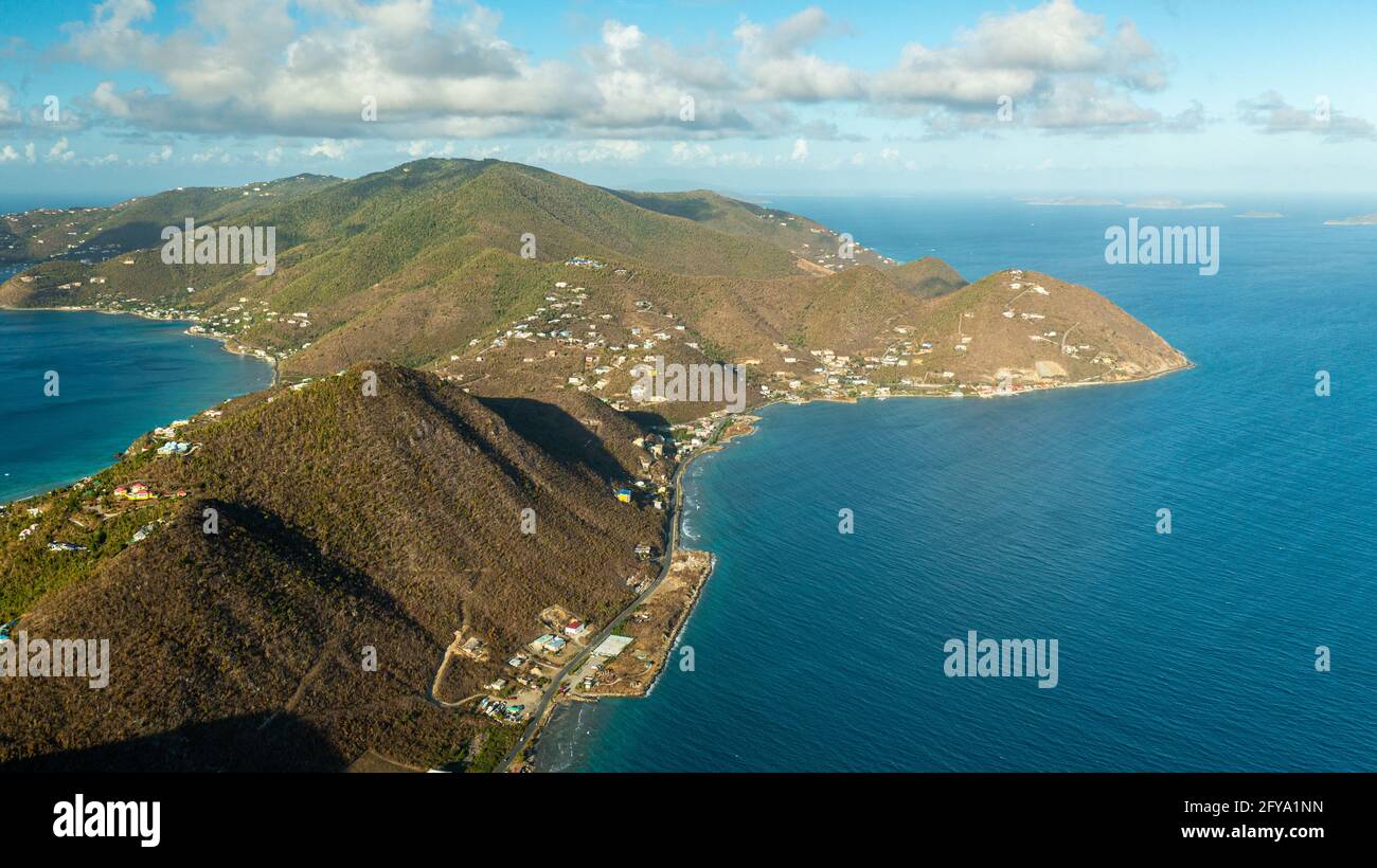 Bvi plants hi-res stock photography and images - Alamy