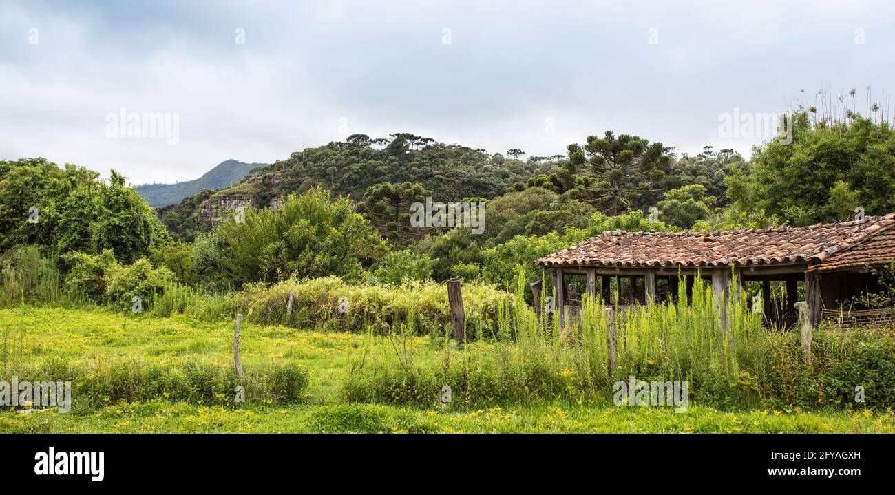 Scenic view of a rural area covered in green nature in Brazil Stock ...