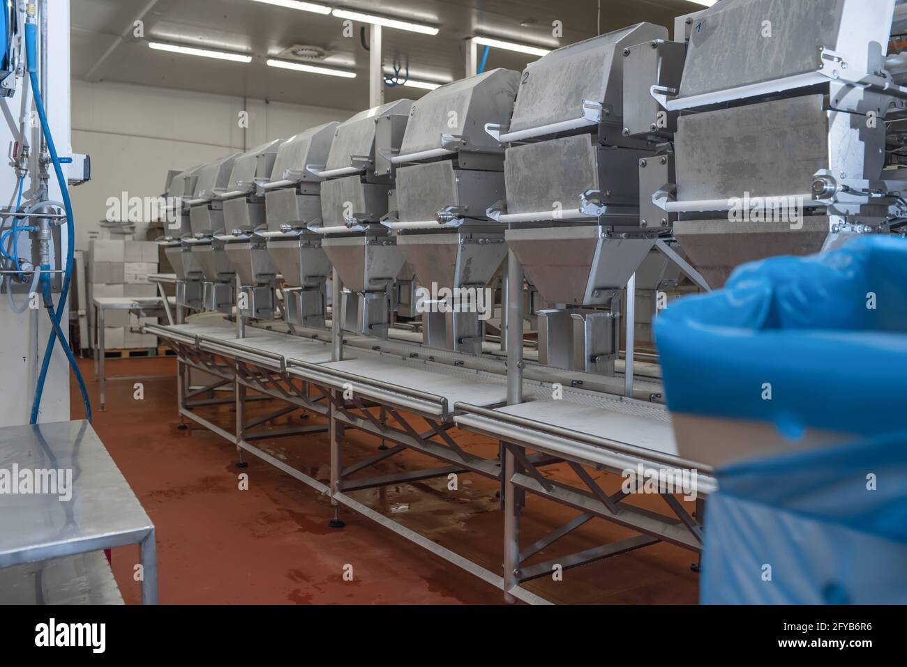 Line for the production of semi-finished meat products. Factory for the ...