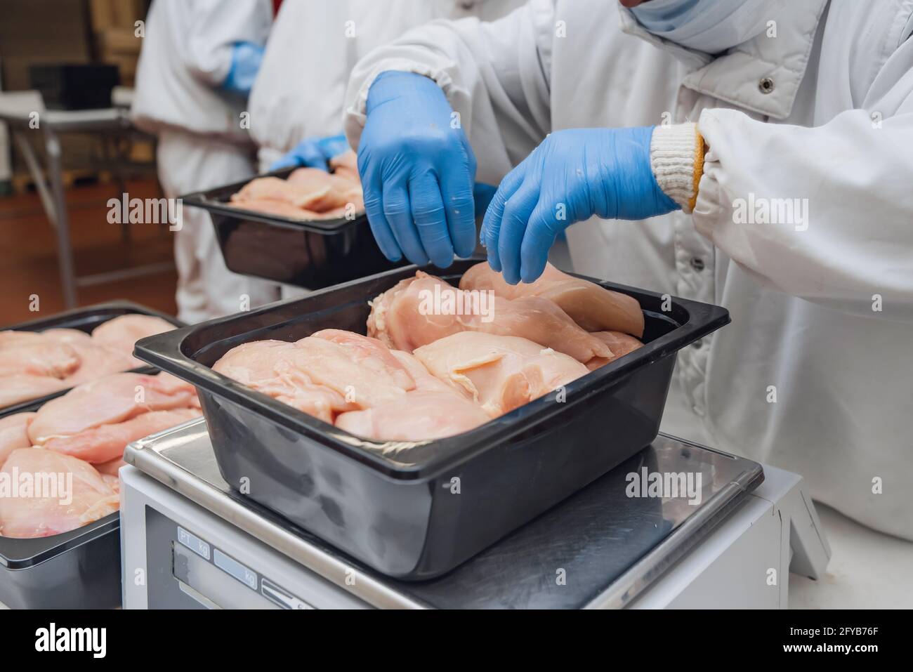 People working.Meat processing equipment.Group of workers working at a ...