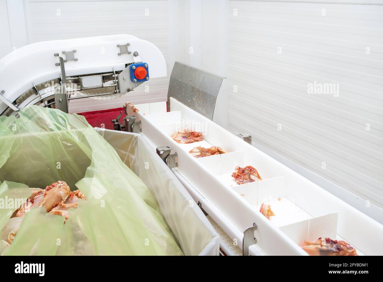 Line for the production of meat with packaging and cutting . Meat ...