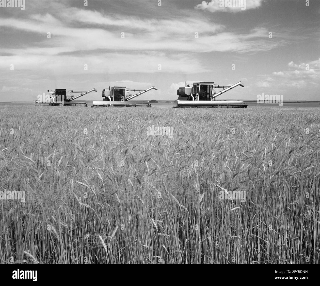 1970s FARMING SERIES OF THREE SELF PROPELLED GRAIN HARVESTERS MOVING ...