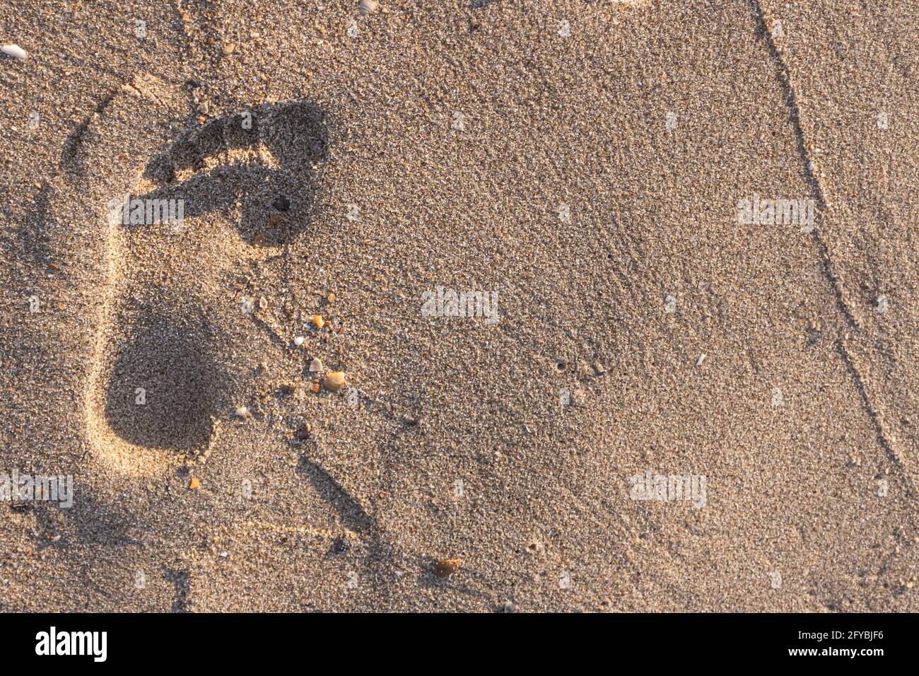 Memory footprint hi-res stock photography and images - Alamy