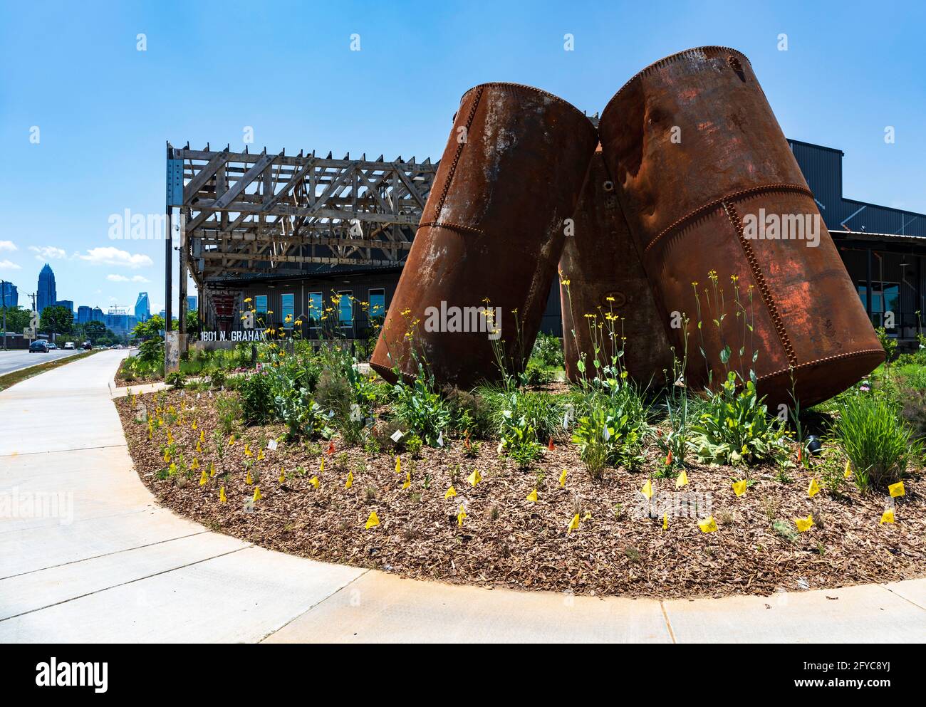 Gama goat hi-res stock photography and images - Alamy