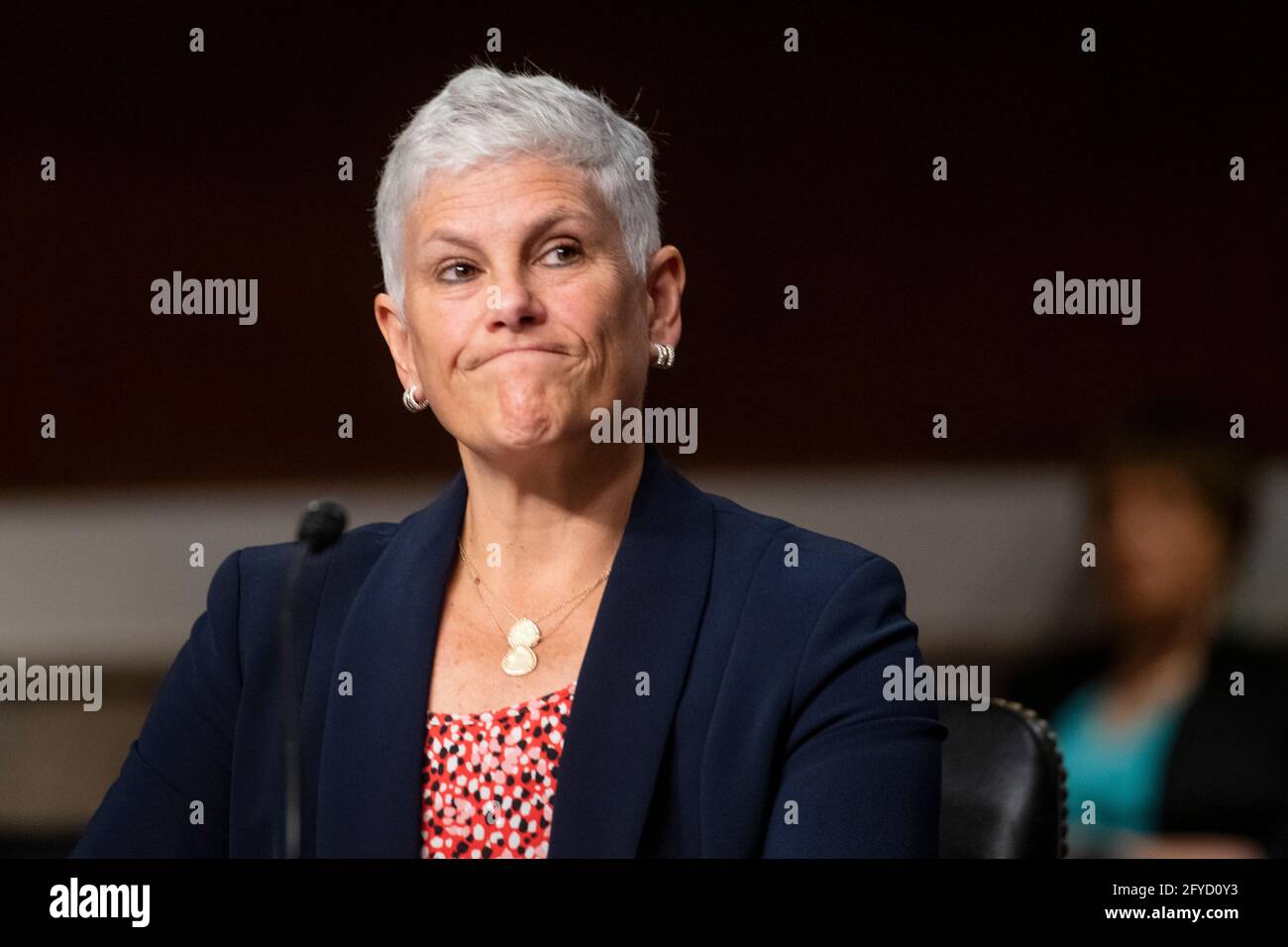 Deborah G. Rosenblum appears before a Senate Committee on Armed ...