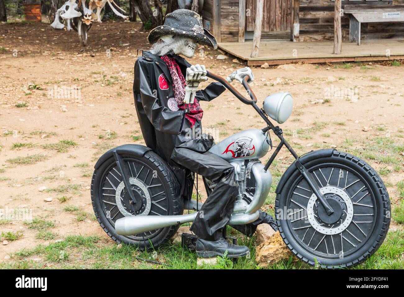 Skeleton riding motorcycle hi-res stock photography and images - Alamy