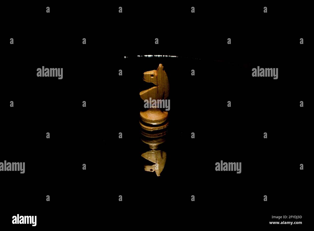 A wooden knight chess piece with a reflection on black background Stock ...