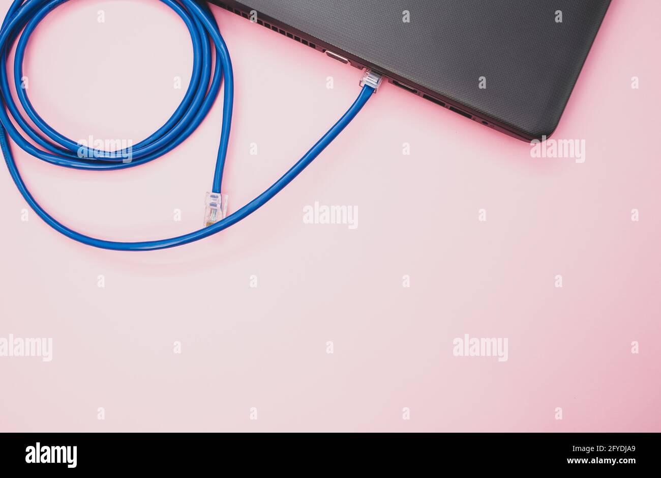 A top view of a LAN cable connected to a laptop isolated on a pink ...