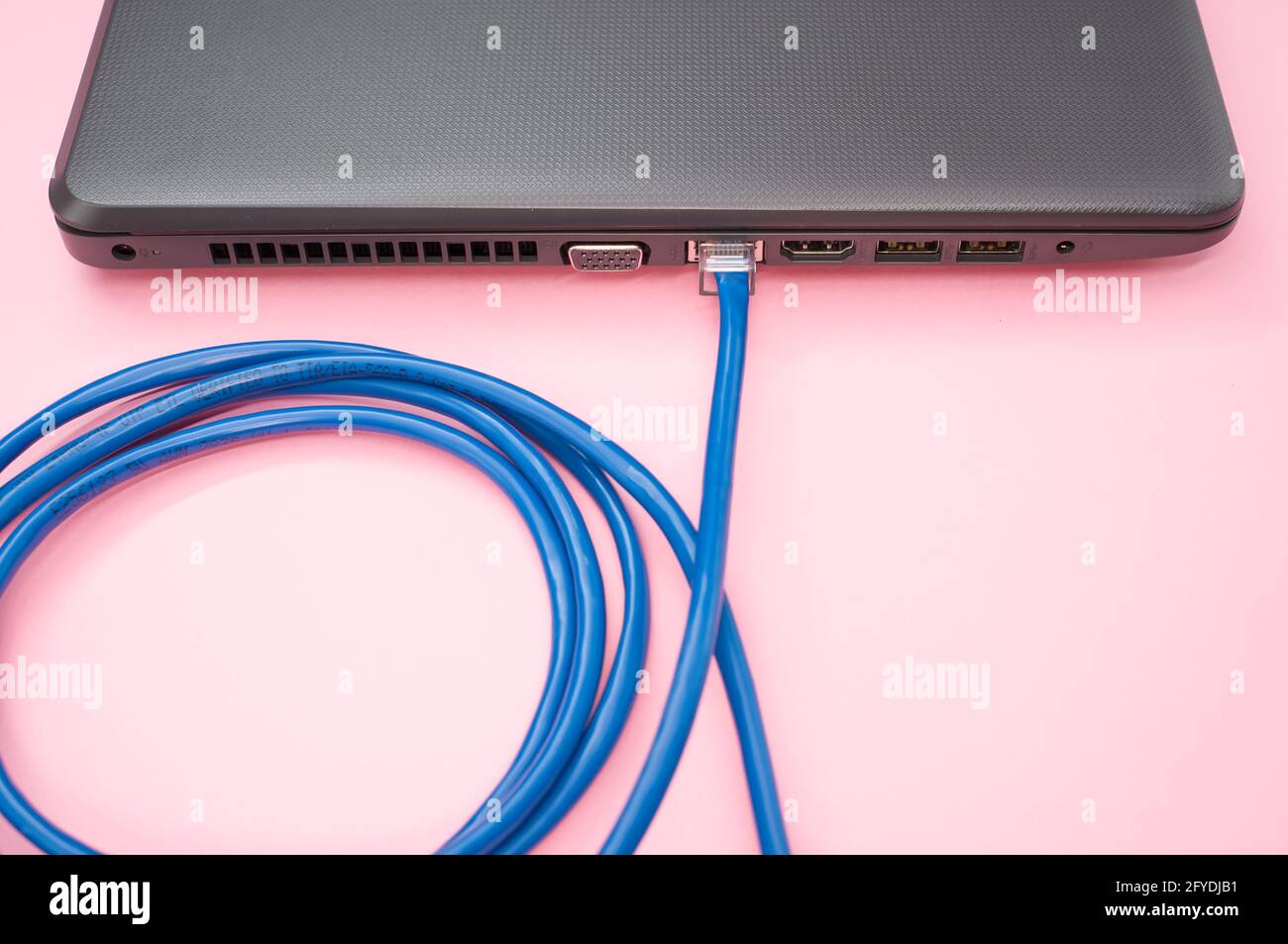 A closeup of a LAN cable connected to a laptop isolated on a pink ...