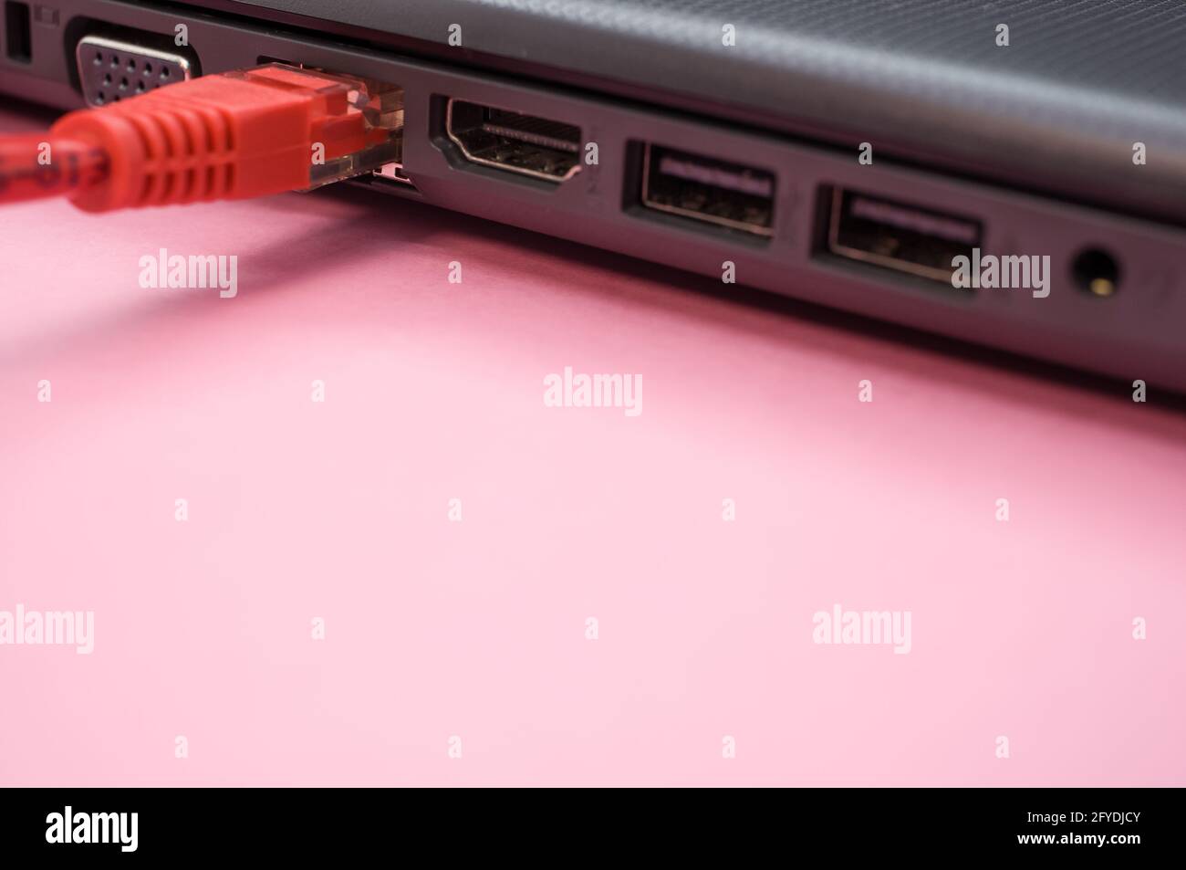Closeup of a LAN cable connected to a laptop isolated on a pink ...