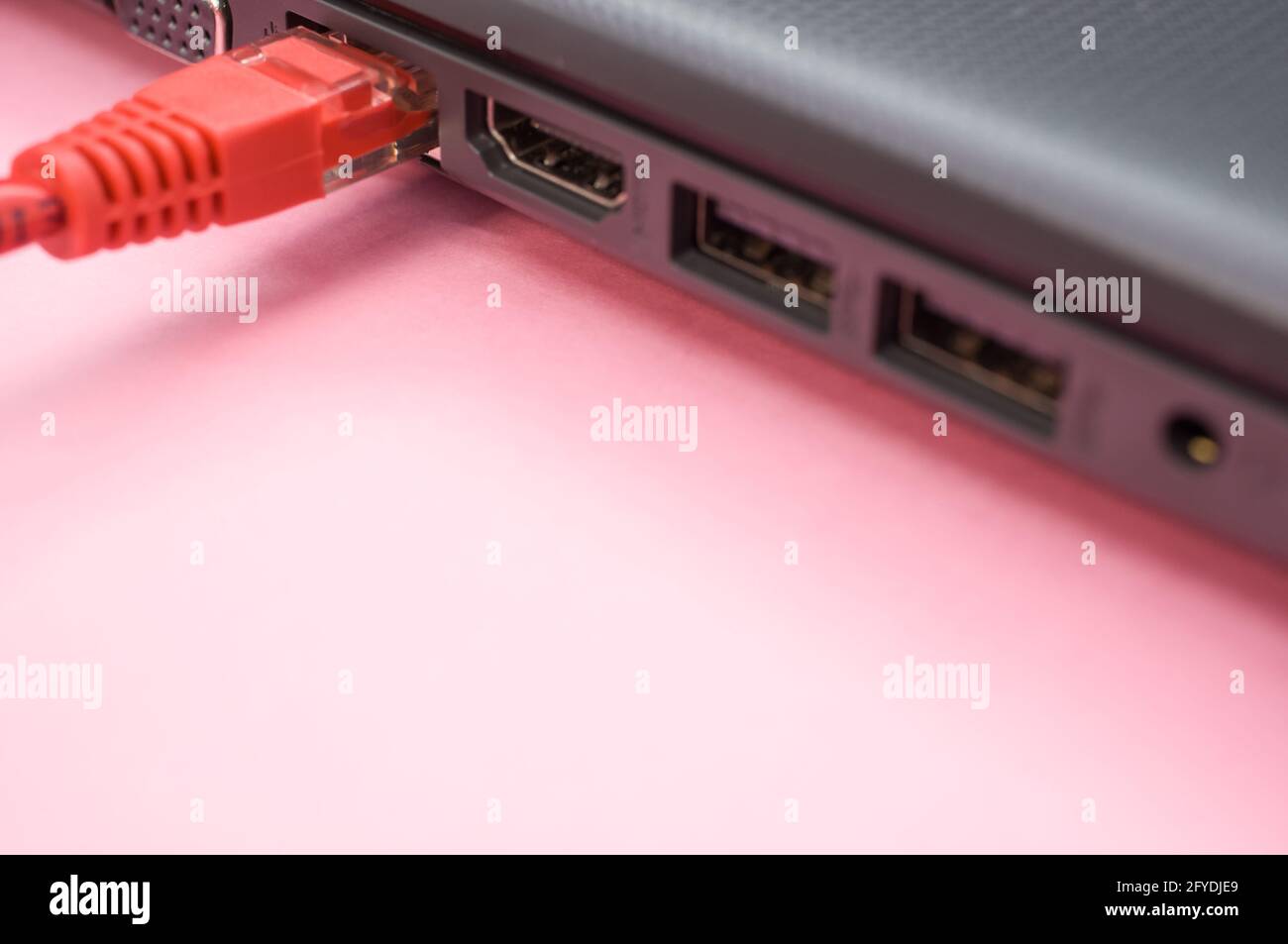 Closeup of a LAN cable connected to a laptop isolated on a pink ...