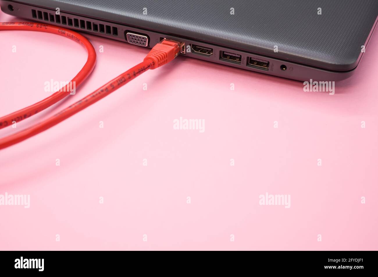 Closeup of a LAN cable connected to a laptop isolated on a pink ...