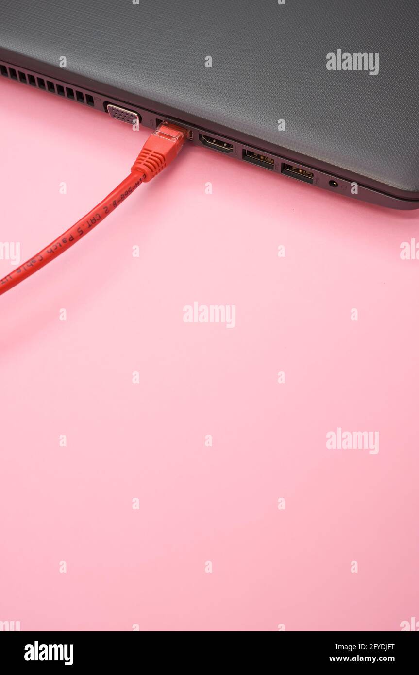 Vertical shot of a LAN cable connected to a laptop isolated on a pink ...
