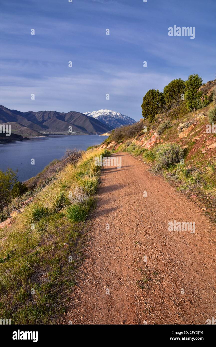 Reservoir wild deer dam hi-res stock photography and images - Alamy