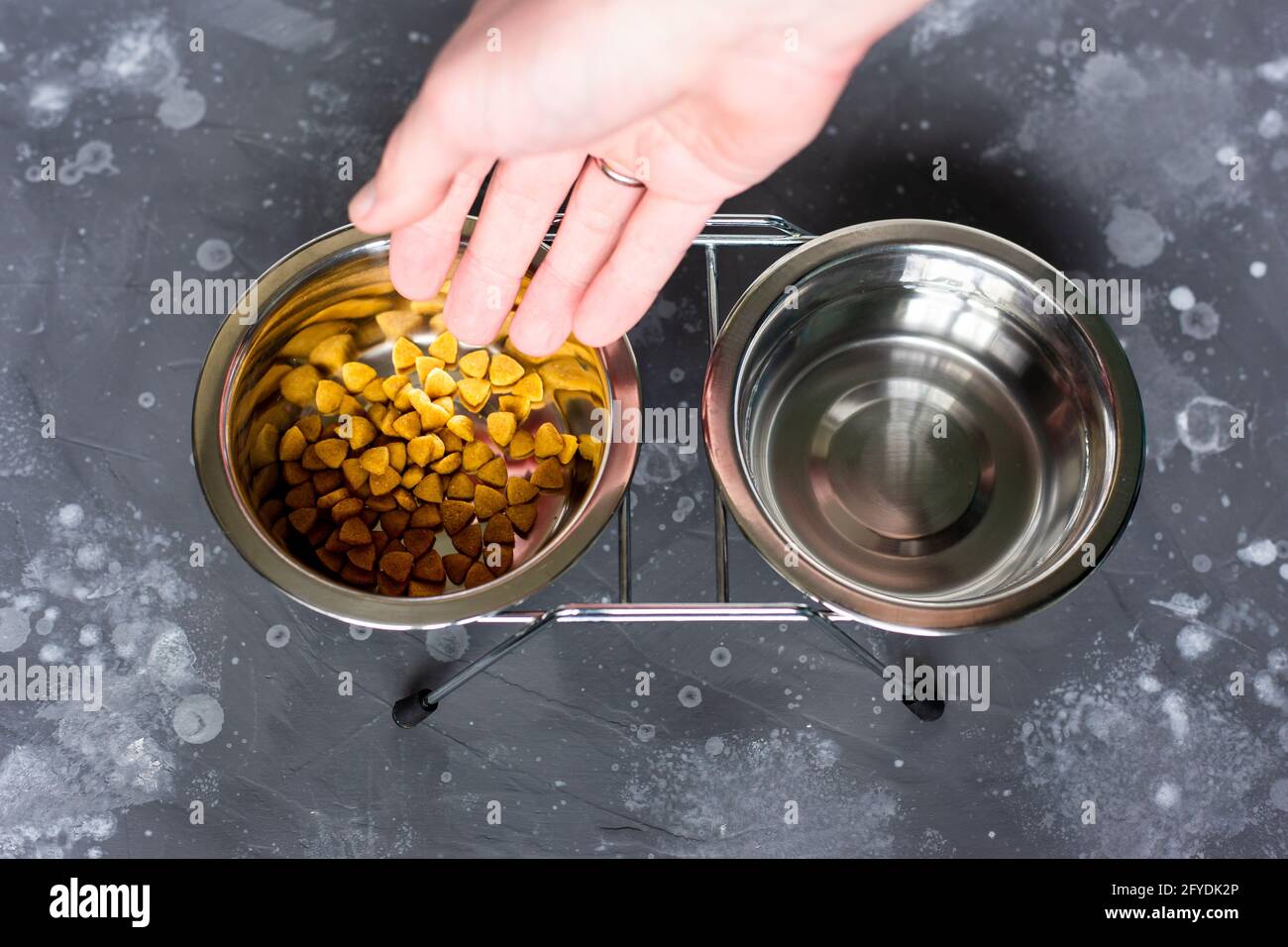 Hand pouring dry food into a steel bowl for cattle. Feeding your pet ...